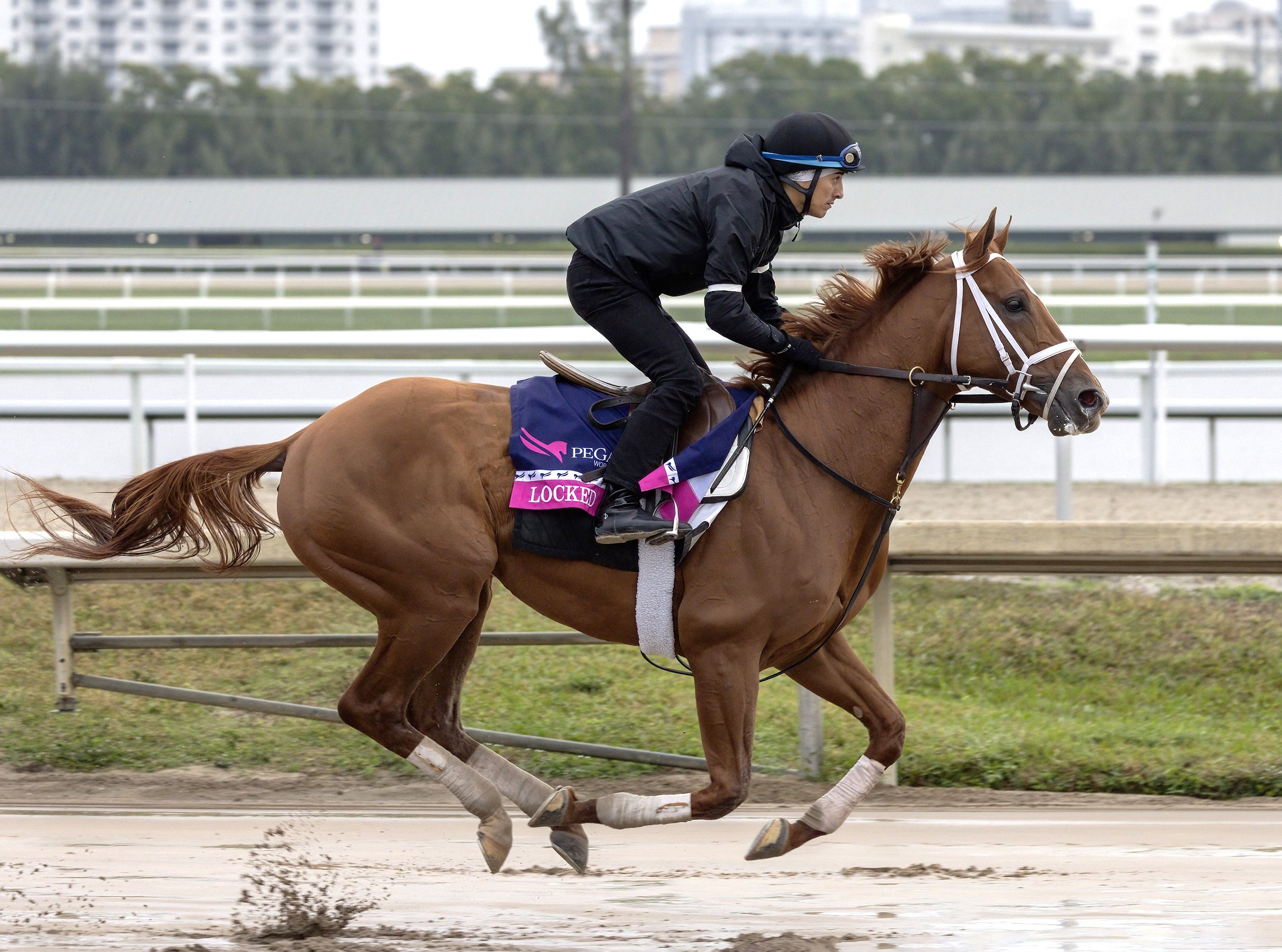 Pegasus World Cup: Locked marooned in historically difficult outside post